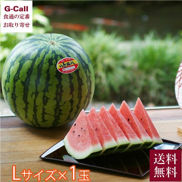 【発売日：2026年07月25日】【注意】収穫状況や生育状況によっては、お届けが前後する場合がございます。あらかじめご了承ください。申込受付：7月21日11時まで 発送日：2026年7月下旬〜8月上旬発送予定（ご指定は受けられません） ※お...