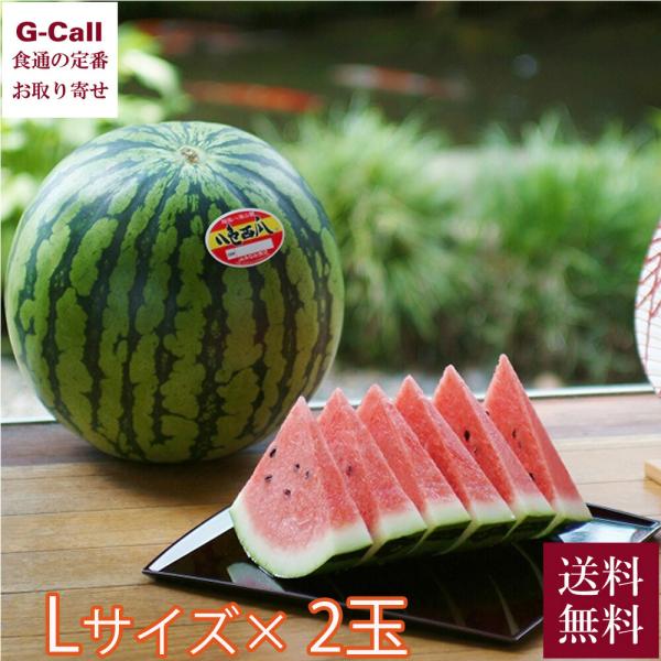 【発売日：2026年07月25日】【注意】収穫状況や生育状況によっては、お届けが前後する場合がございます。あらかじめご了承ください。 申込受付：7月21日11時まで 発送日：2026年7月下旬〜8月上旬発送予定 ※お届け日のご指定は承ること...