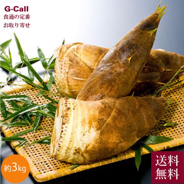 【発売日：2026年05月05日】【注意】収穫状況や生育状況によっては、出荷が遅れる場合がございます。あらかじめご了承ください。申込受付：5月13日11時までお届け期間：5月上旬〜中旬※沖縄届け不可※お届け日のご指定・ご不在日のご希望等は一...