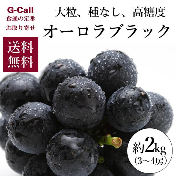 【発売日：2026年09月01日】★【注意】収穫状況や生育状況によっては、出荷が遅れる場合がございます。あらかじめご了承ください。申込受付：9月7日11時まで出荷期間：9月上旬〜9月中旬※お届け日のご指定は承ることができません。※お届け日は...