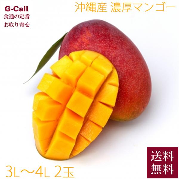 【発売日：2026年07月05日】【注意】収穫状況や生育状況によっては、お届けが前後する場合がございます。あらかじめご了承ください。申込受付：7月17日11時まで出荷期間：7月上旬から8月上旬まで※台風や長雨などの天災で沖縄マンゴーの収穫に...