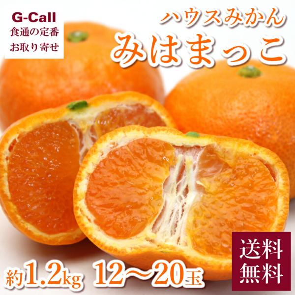 【発売日：2026年06月25日】【注意】お届け日のご指定は承れません。また収穫状況や生育状況によっては出荷時期が前後する場合がございます。あらかじめご了承ください。 申込受付：8月20日11時まで 発送期間：6月下旬〜8月下旬頃 ※入荷が...