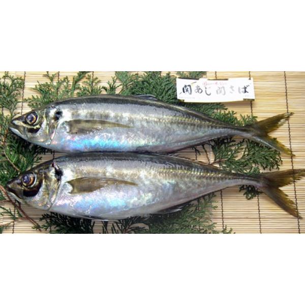 「関あじ」「関さば」は市場では別格扱いにされる高級魚。 このトップブランドの加工品を産地漁協から直送します。 佐賀関の漁師が一本釣りで水揚げした高級魚関あじをりゅうきゅうにしました！ 大分の郷土料理「りゅうきゅう」。卸したあじやさばの切り身...