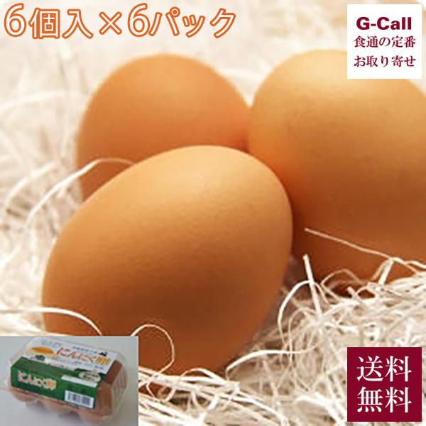 鶏は自由に運動し、太陽の光をたっぷりと浴びながら卵を産んでいます。抗生物質等の薬品は一切使用せず、病気の予防はワクチンのみで対応しています。エサは「放し飼い有精卵」と同じくヨモギ、海藻、特に田子特産のニンニクなどを多く与えています。鶏の健康...