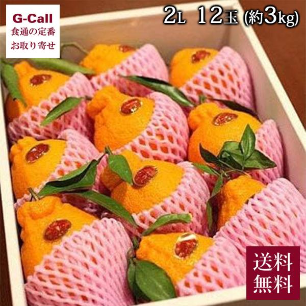 【注意】収穫状況や生育状況によっては、出荷が遅れる場合がございます。あらかじめご了承ください。申込受付：4月17日11時までお届け期間：4月上旬〜下旬※お届け日のご指定は承ることができません。※お届け日は目安です。商品出荷後はキャンセル不可...