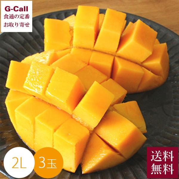 【発売日：2026年05月15日】【注意】収穫状況や生育状況によっては、お届けが前後する場合がございます。あらかじめご了承ください。申込受付：6月23日11時まで出荷期間：5月中旬〜6月下旬※水曜日・日曜日の出荷はございません。※お届け日の...