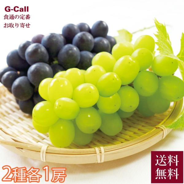 【発売日：2026年09月05日】★【注意】収穫状況や生育状況によっては、お届けが遅れる場合がございます。あらかじめご了承ください。申込受付：9月10日11時までお届け期間：9月上旬〜9月中旬※お届け日のご指定は承ることができません。※お届...