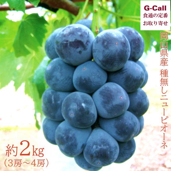 【発売日：2026年09月05日】【注意】収穫状況や生育状況によっては、お届けが前後する場合がございます。あらかじめご了承ください。申込受付：9月7日11時まで出荷期間：9月上旬〜9月中旬まで※お届け日のご指定は承ることができません。※お届...