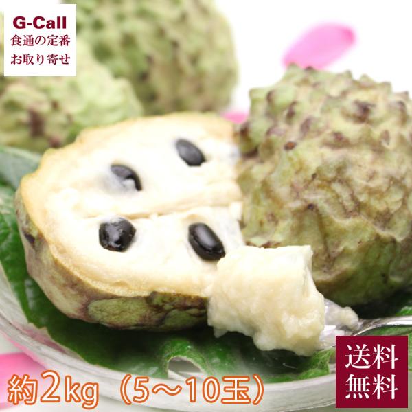 【発売日：2026年01月25日】★【注意】収穫状況や生育状況によっては、出荷が遅れる場合がございます。あらかじめご了承ください。申込受付：3月10日11時まで出荷期間：1月下旬〜3月中旬※お届け日のご指定は承ることができません。※お届け日...