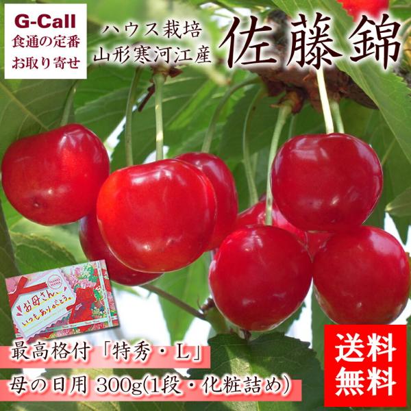 【発売日：2026年05月01日】【注意】収穫状況や生育状況によっては、お届けが前後する場合がございます。あらかじめご了承ください。申込受付：4月24日（金）11時まで発送期間：5月5日(火)〜9日(土)のいずれかにお届け。 ※お届け日のご...
