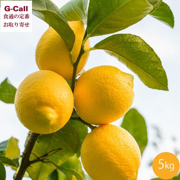 【注意】収穫状況や生育状況によっては、出荷が遅れる場合がございます。あらかじめご了承ください。申込受付：5月14日11時までお届け期間：10月下旬〜5月下旬まで※お届け日のご指定は承ることができません。※お届け日は目安です。商品出荷後はキャ...