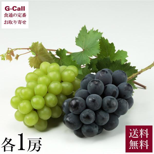 【発売日：2026年07月03日】【注意】収穫状況や生育状況によっては出荷時期が前後する場合がございます。あらかじめご了承ください。申込受付：8月5日11時まで発送期間：7月上旬〜8月上旬まで※お届け日のご指定は承ることができません。※お届...