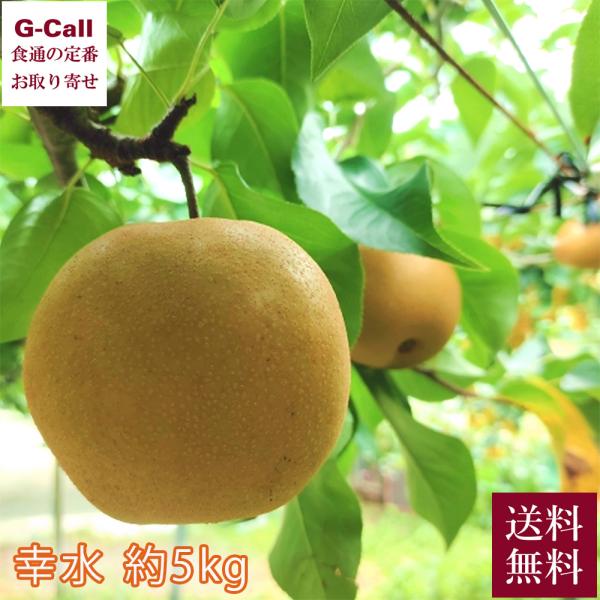 【発売日：2026年08月05日】【注意】収穫状況や生育状況によっては、お届けが前後する場合がございます。あらかじめご了承ください。申込受付：8月7日11時まで出荷期間：8月上旬〜8月中旬※配達日のご指定は承ることができません。※お届け日は...