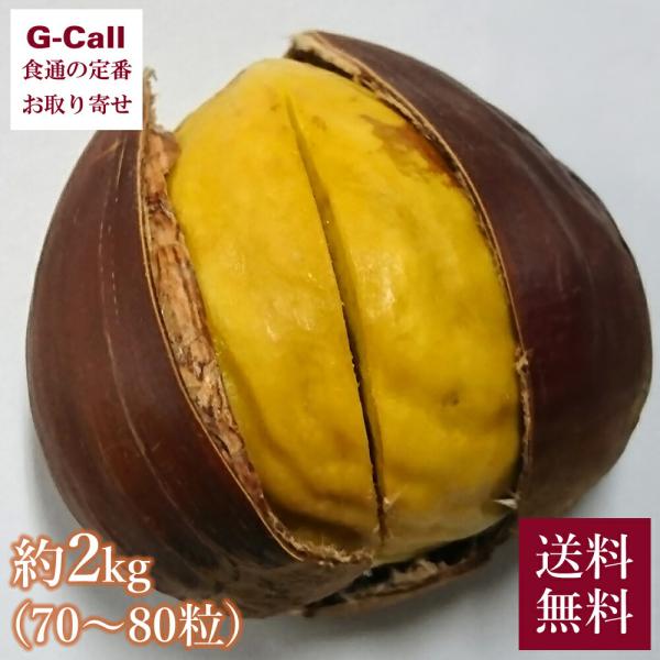 【発売日：2026年09月15日】★【注意】お届け日のご指定は承れません。また収穫状況や生育状況によっては出荷時期が前後する場合がございます。あらかじめご了承ください。  申込受付：9月16日11時まで 発送期間：9月中旬〜9月下旬頃まで(...