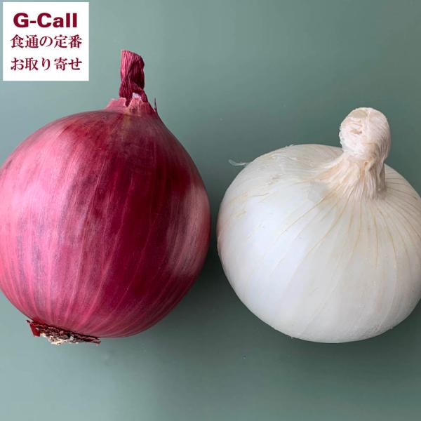 【発売日：2026年09月25日】【注意】収穫状況や生育状況によっては、お届けが前後する場合がございます。あらかじめご了承ください。申込受付：12月18日11時まで出荷期間：9月下旬〜2027年1月上旬※お届け日のご指定は承ることができませ...