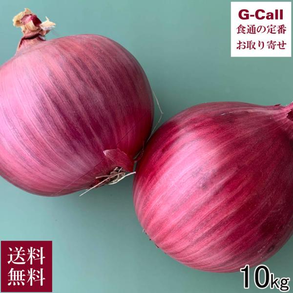 【注意】収穫状況や生育状況によっては、お届けが前後する場合がございます。あらかじめご了承ください。申込受付：12月18日11時まで出荷期間：9月下旬〜2027年1月上旬※お届け日のご指定は承ることができません。※お届け日は目安です。商品出荷...