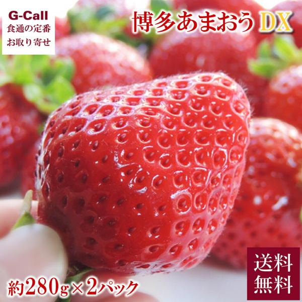 【発売日：2026年01月05日】【注意】収穫状況や生育状況によっては、出荷が遅れる場合がございます。あらかじめご了承ください。申込受付：2026年3月3日11時まで発送期間：1月上旬〜3月上旬※お届け日のご指定は承ることができません。※お...