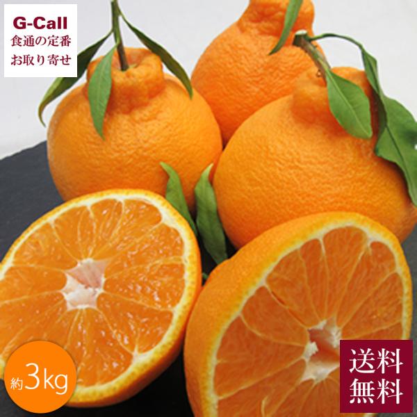 【発売日：2026年04月05日】★【注意】収穫状況や生育状況によっては、発送が遅れる場合がございます。あらかじめご了承ください。申込受付：2026月5月8日11時までお届け期間：2026年4月上旬〜5月中旬まで※お届け日のご指定は承ること...