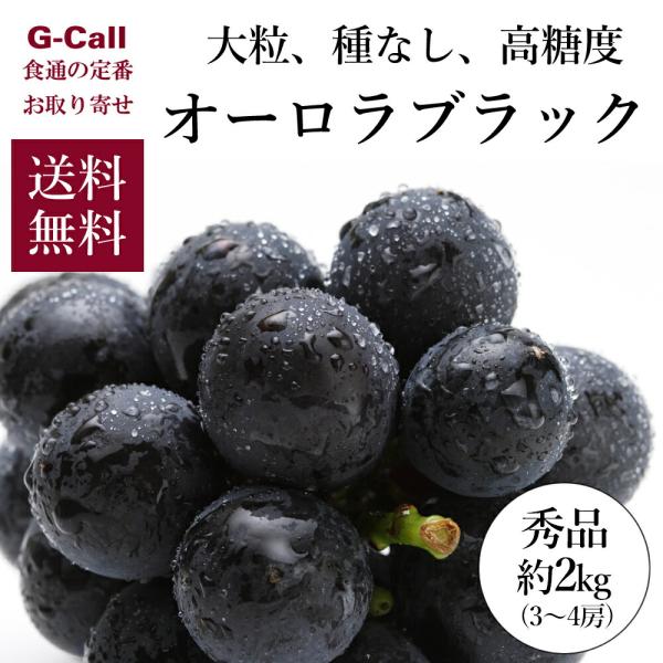 【発売日：2026年09月01日】★【注意】収穫状況や生育状況によっては、出荷が遅れる場合がございます。あらかじめご了承ください。申込受付：9月7日11時まで出荷期間：9月上旬〜9月中旬まで※お届け日のご指定は承ることができません。※お届け...