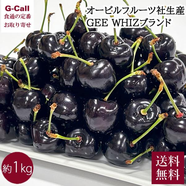 【発売日：2026年06月25日】【注意】収穫状況や生育状況によっては、出荷が遅れる場合がございます。あらかじめご了承ください。申込受付：7月3日11時まで ※産地の状況により終了時期が早まる場合があります。発送期間：6月下旬〜7月下旬頃※...