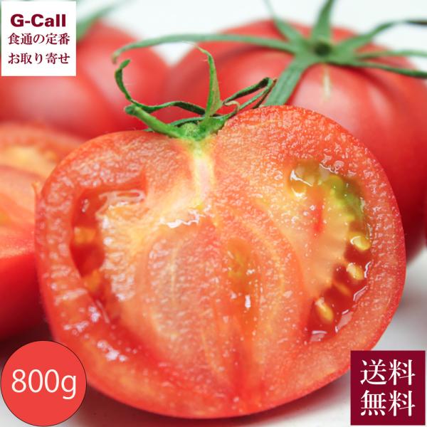 ★【注意】収穫状況や生育状況によっては、発送が遅れる場合がございます。あらかじめご了承ください。 申込受付：4月24日（金）11時まで発送期間：2月上旬〜4月下旬 ※お届け日のご指定は承ることができません。※こちらの商品はお届け日、ご不在日...