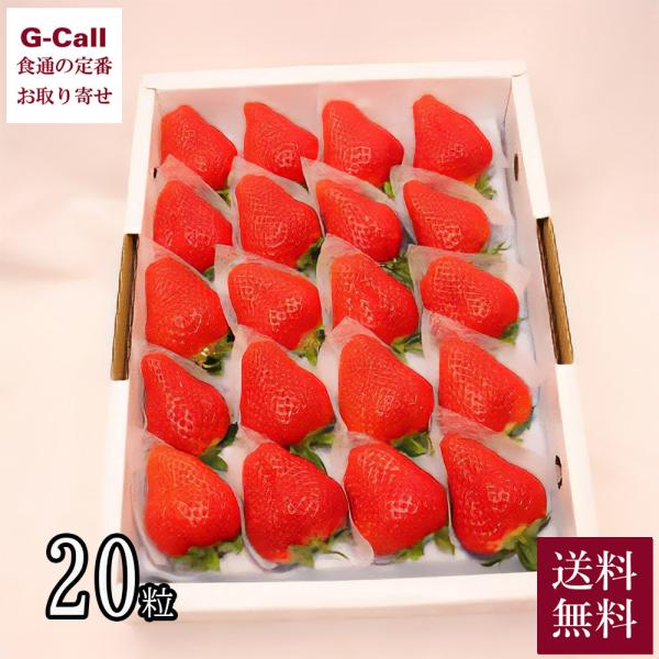 【注意】収穫状況や生育状況によっては、出荷が遅れる場合がございます。あらかじめご了承ください。申込受付：3日31日11時までお届け期間：1月上旬〜3月下旬ころまで※お届け日のご指定は承ることができません。※お届け日は目安です。商品出荷後はキ...