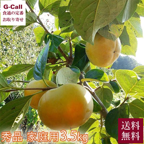 【注意】収穫状況や生育状況によっては、発送が遅れる場合がございます。あらかじめご了承ください。申込受付：2026年11月7日11時まで発送期間：2026年10月中旬〜11月中旬※お届け日のご指定は承ることができません。※お届け日は目安です。...