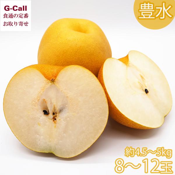 【発売日：2026年08月25日】【注意】収穫状況や生育状況によっては、出荷が遅れる場合がございます。あらかじめご了承ください。申込受付：9月18日11時まで出荷期間：8月下旬から出荷開始予定※お届け日のご指定は承ることができません。※お届...