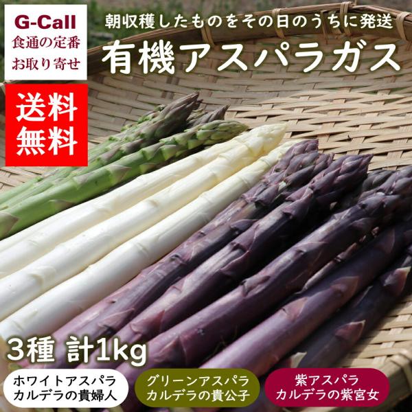 【発売日：2026年05月15日】【注意】収穫状況や生育状況によっては、出荷が遅れる場合がございます。あらかじめご了承ください。申込受付：6月19日午前11時までお届け期間：5月中旬〜6月中旬予定※お届け日のご指定は承ることができません。※...