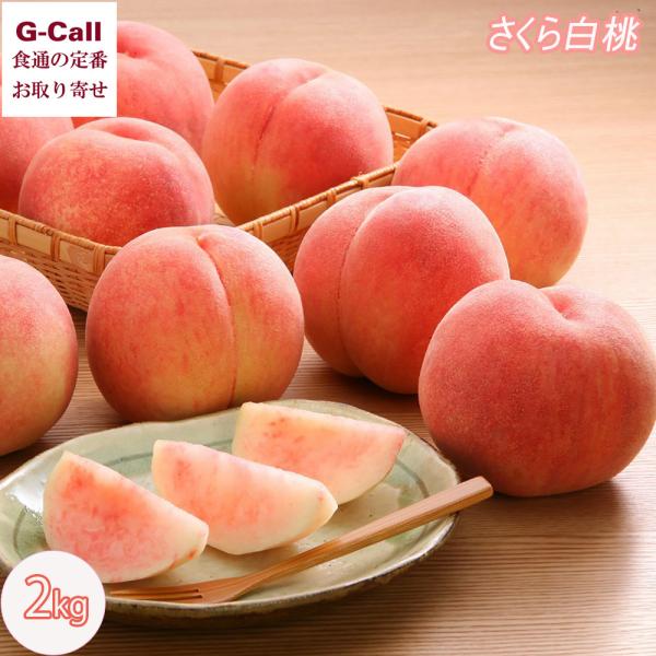 【発売日：2026年09月05日】【注意】収穫状況や生育状況によっては、発送が遅れる場合がございます。あらかじめご了承ください。申込受付：2026年8月28日11時まで発送期間：9月上旬〜9月中旬※お届け日のご指定は承ることができません。曜...