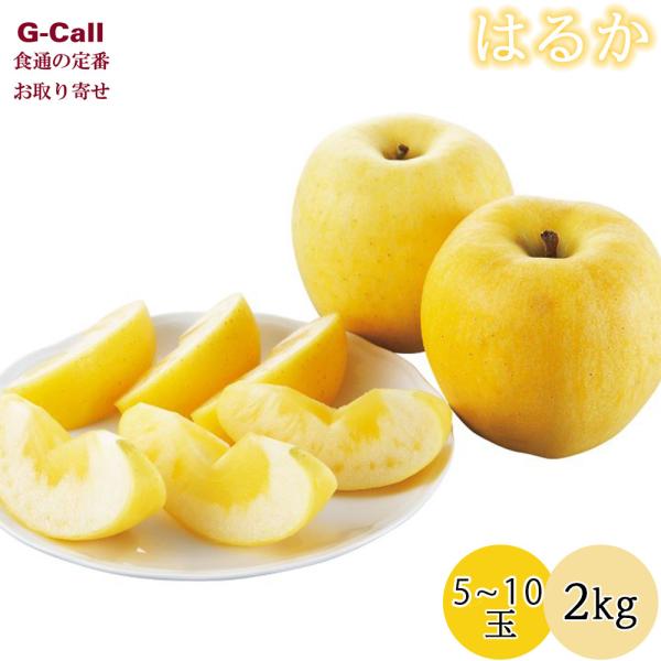 ★年内の発送は終了しました。年明けは、2026/01/06より順次発送いたします。【注意】出荷状況によっては、お届けが前後する場合がございます。あらかじめご了承ください。申込受付：無くなり次第終了となります。※お届け日のご指定は承ることがで...