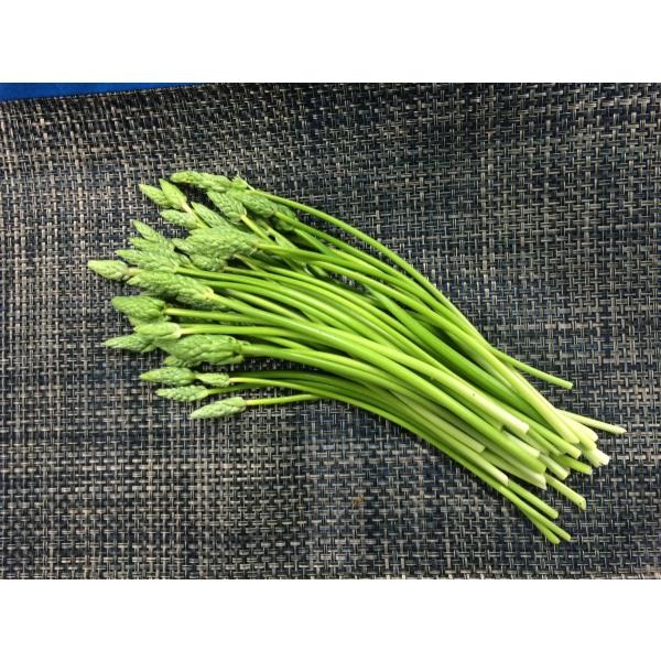 国産のアスパラソバージュです、フランス産に比べて非常に緑も鮮やかできれいです。　　1pc　４８ｇ4枚目の写真の右が国産　左がフランス産です。