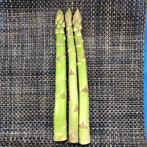 こちらの極太アスパラガスは丹精込めて丁寧に丁寧に作られています、太いのに柔らかいその上甘くていうことなし　うちの一押しです！！4Lサイズ　3本入り１袋