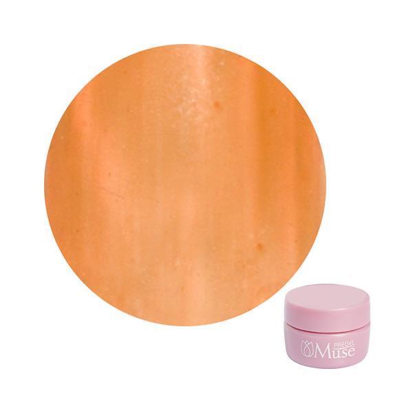 ネイル ジェルネイル マグネットネイル ポリジェル カラージェル ジェルネイルキット トップジェル ピールオフジェル アイシングジェル 粘土ジェル クリアジェル プチプラ ネイルジェル