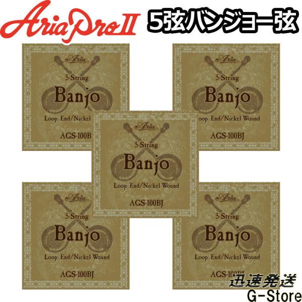 5-String Banjo Strings5弦バンジョー用ニッケルワウンド弦。ループエンド仕様。ゲージ：.010/.012/.016/.023W/.010