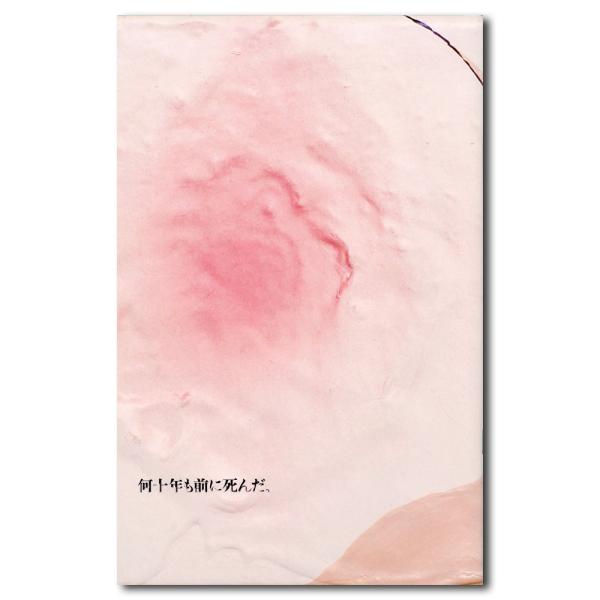 2018年1月から2月にかけて西荻窪の中央本線画廊にて行われた、杉本憲相　個展「何十年も前に死んだ。」の公式展覧会図録です。展示作品写真集、インスタレーションビュー、会期中行われた塚田優さん、内田ユイさんとの対談、塚田優さんによる展示アフタ...