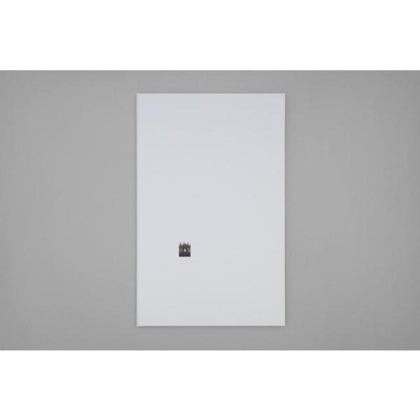 木村が、幼い時から患う「不思議の国のアリス症候群」。この症状は、ものの大小や遠近が現実と異なって見えたり、色覚・時間感覚に異常をきたすなど様々な症状が現れるという。タイトルの「石と桃」は、モノトーン調の硬いものと発色のよい柔らかいものとが混...