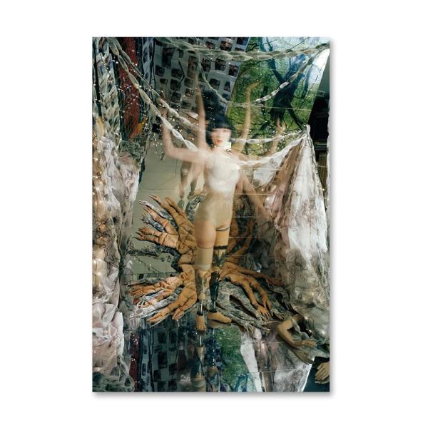 【発売日：2025年09月27日】日本人アーティスト、写真家の片山真理の作品集。裁縫、写真、絵画など多岐にわたるメディアを用いて「自然、人工、正しさ」といった社会の規範的な考えを映し出し、それを問う作品を制作してきた作者。初の海外個展を行っ...