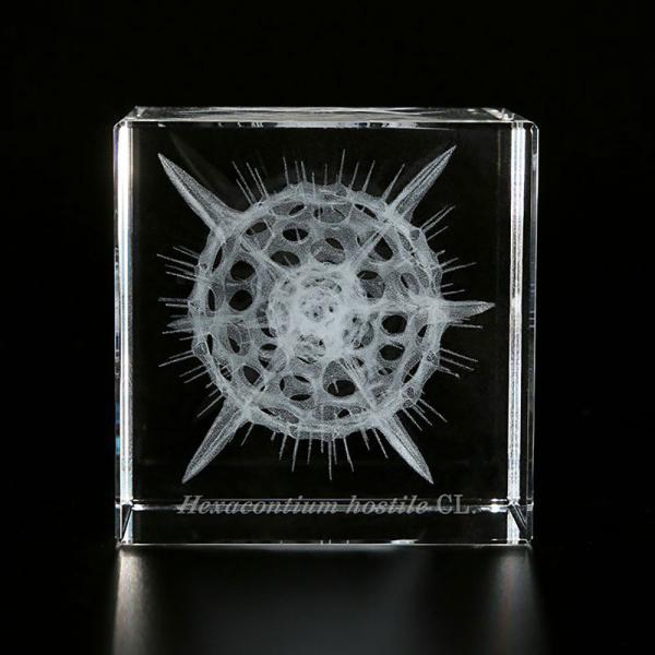 ガラスの骨を持つ微化石　放散虫の一種海のプランクトン「放散虫」の一種。化石として発見されたものを題材としたため、骨格部分だけをモデリングしています。三層構造の美しいガラス質の骨格にご注目ください。一番古い放散虫の化石は約５億年前のカンブリア...