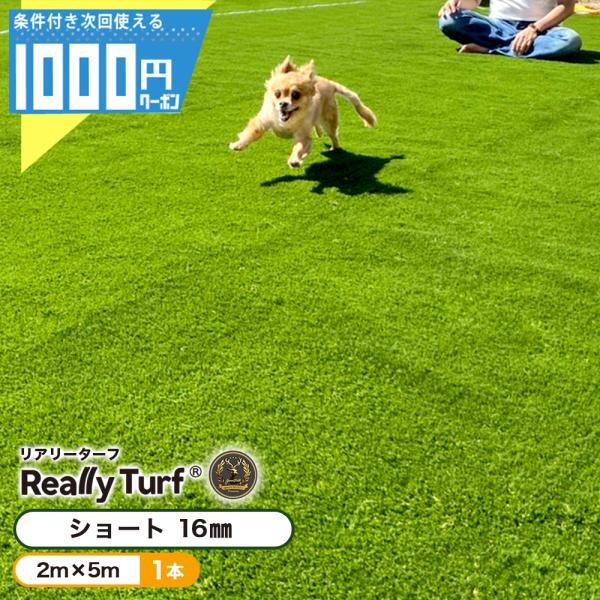リアリーターフ ショート パイル16mm グリーンフィールド・静電気抑制・抗菌・防炎・防カビ・消臭・つや消しパイル・端部カット済・ウレタンバッキング■規格2m×5m（10平米分）パイル長：16mm※ロール状に巻いた状態■ご注意一部地域へは別...