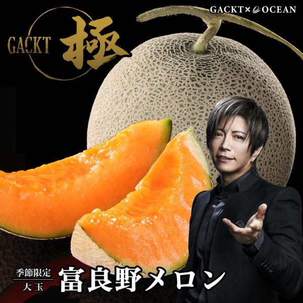 【発売日：2026年08月30日】■商品名富良野メロン（北海道産）■内容量約2kg×1玉入■保存方法日持ちが良い富良野メロンは追熟期間を必要とします。常温で保存し、全体に弾力がでて「ヘタ」がしおれてきたら食べ頃です。※美味しく食べるためのリ...