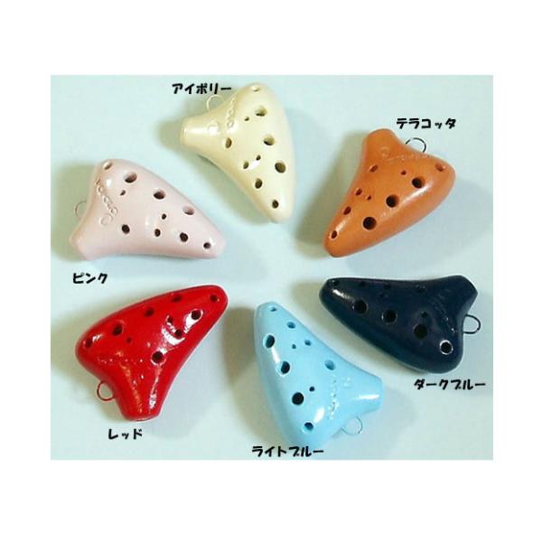 運指表・ソフトケース付属