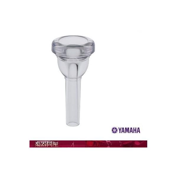 軽くて丈夫なトロンボーン、ユーフォニアム用樹脂製マウスピースです。透明なマウスピースでアンブシュアのチェックに便利です。軽くて丈夫なポリカーボネート製、万一落としてしまっても簡単には変形しません。軽くて丈夫な設計ですので、気軽に持ち歩いてい...