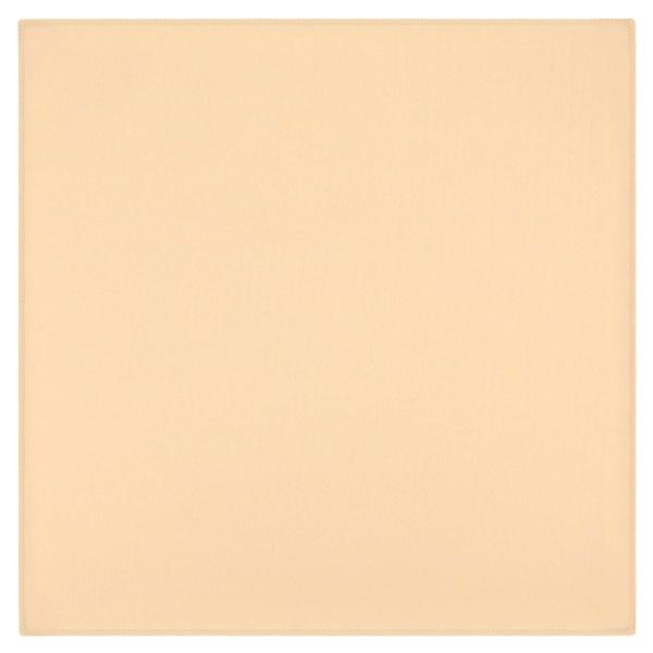 超極細繊維をミクロスポンジ状にしたクロス●トレシークロスの表面は、1平方インチ当たり約22万本を超える超極細繊維で出来ています。（一般合繊織物は1〜2万本程度）そのため小さなゴミだけでなく、従来のクリーナーでは落とせなかった頑固な油性皮膜汚...