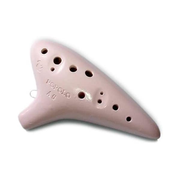 安定した音程、息の入れやすさ、運指のしやすさなどに重点を置き、なおかつお求めやすい価格を達成した「スタンダード」シリーズです。【仕様】サイズ(mm)：195(L)×110(H)×55(W)重量：約300g【セット内容】●本体●ソフトケース●...