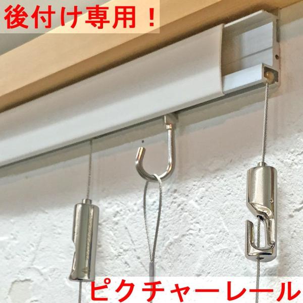 上下左右の移動が可能になるのがピクチャーレール。額吊金具を打ち直すことなく、額縁の飾り換えができるようになります。こちらの「ピクチャーレール/RAIL SUN」は、後付け専用で設置も簡単。ワイヤー1本あたり、5kgの垂直耐荷重と安全面でも優...