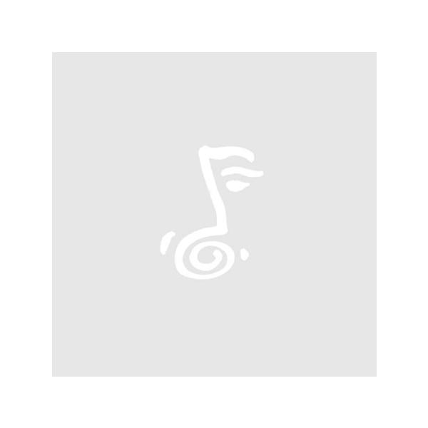 ウェスタン・テーマによる幻想曲