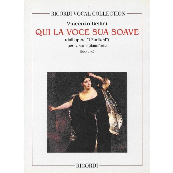 （株）テーヌ商会 【50018470】