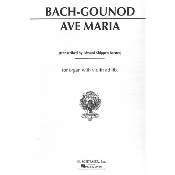 （株）テーヌ商会 【50276870】