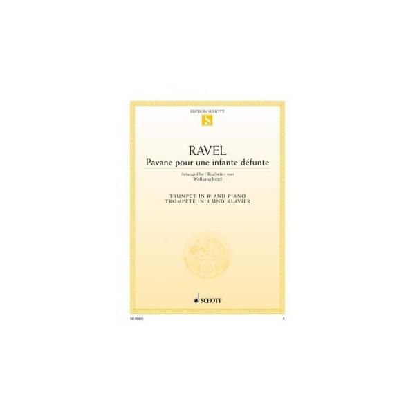 （株）テーヌ商会 【ED0 9843】